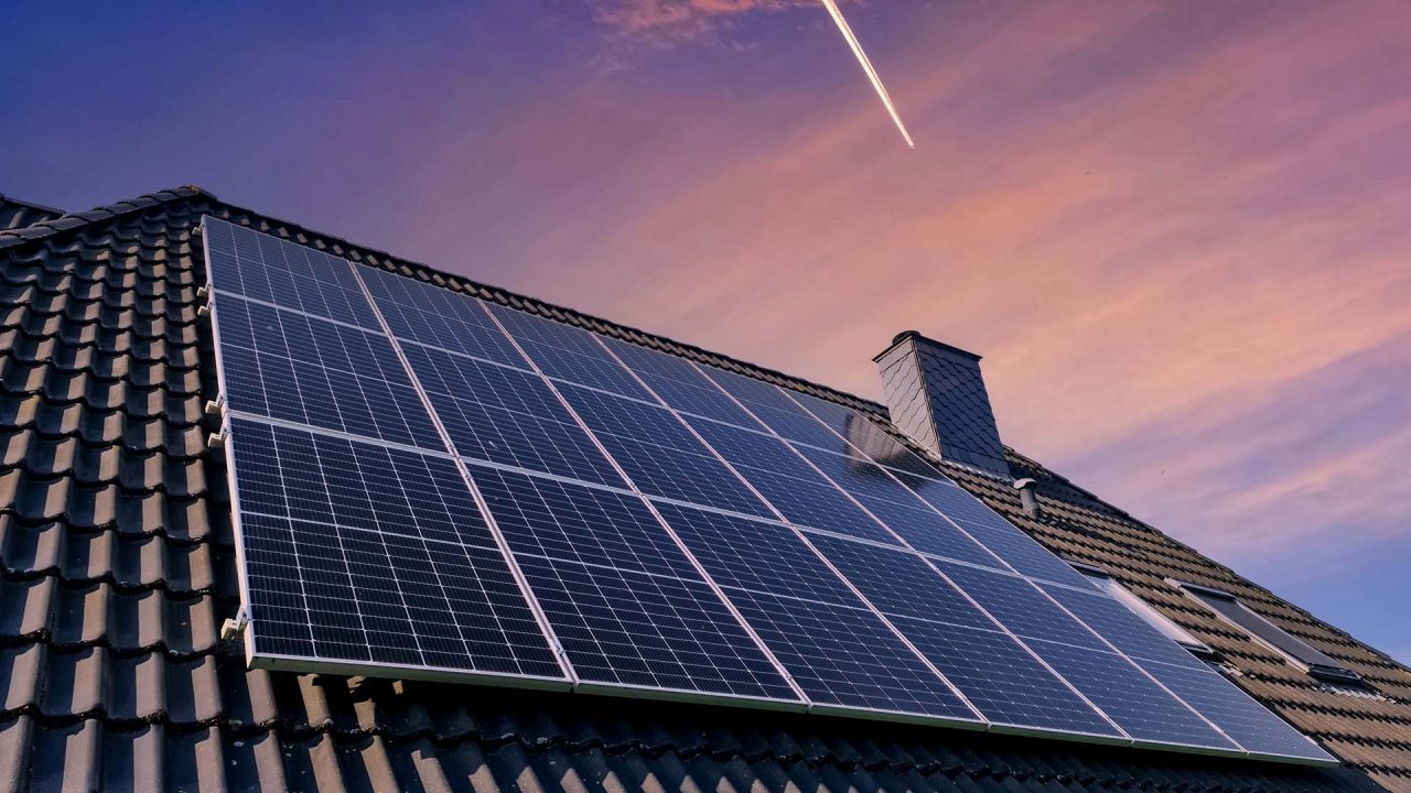 Over ons - Ultimate Vogelwering